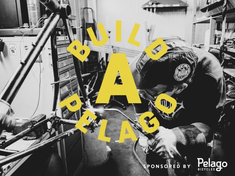 The Build-A-Pelago bikes and stories - Pelago Bicycles