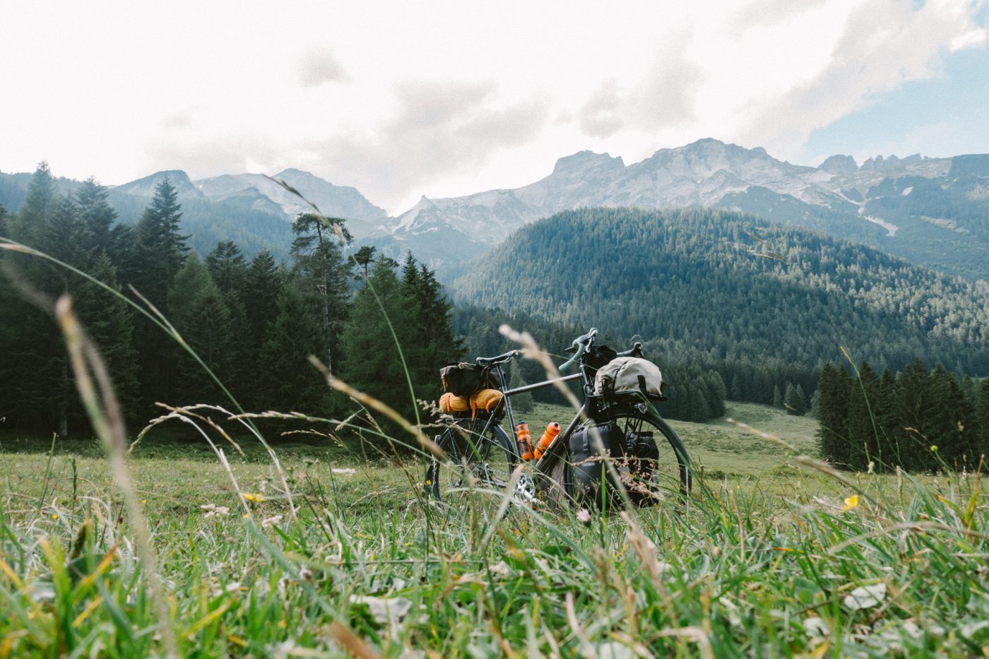Meet the Pelago Bags - Pelago Bicycles