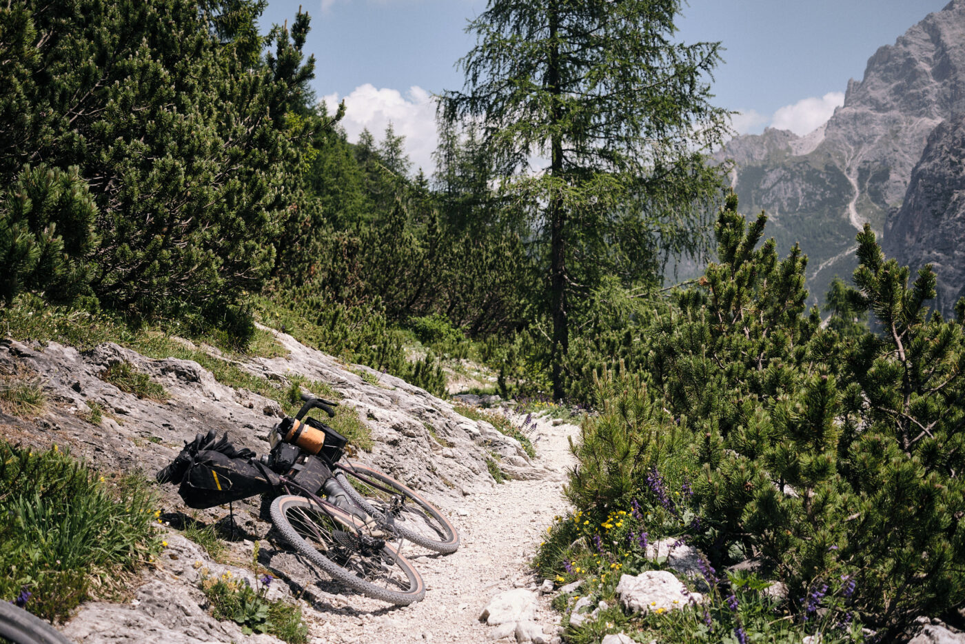 STAVANGER: One bike for everything - Pelago Bicycles